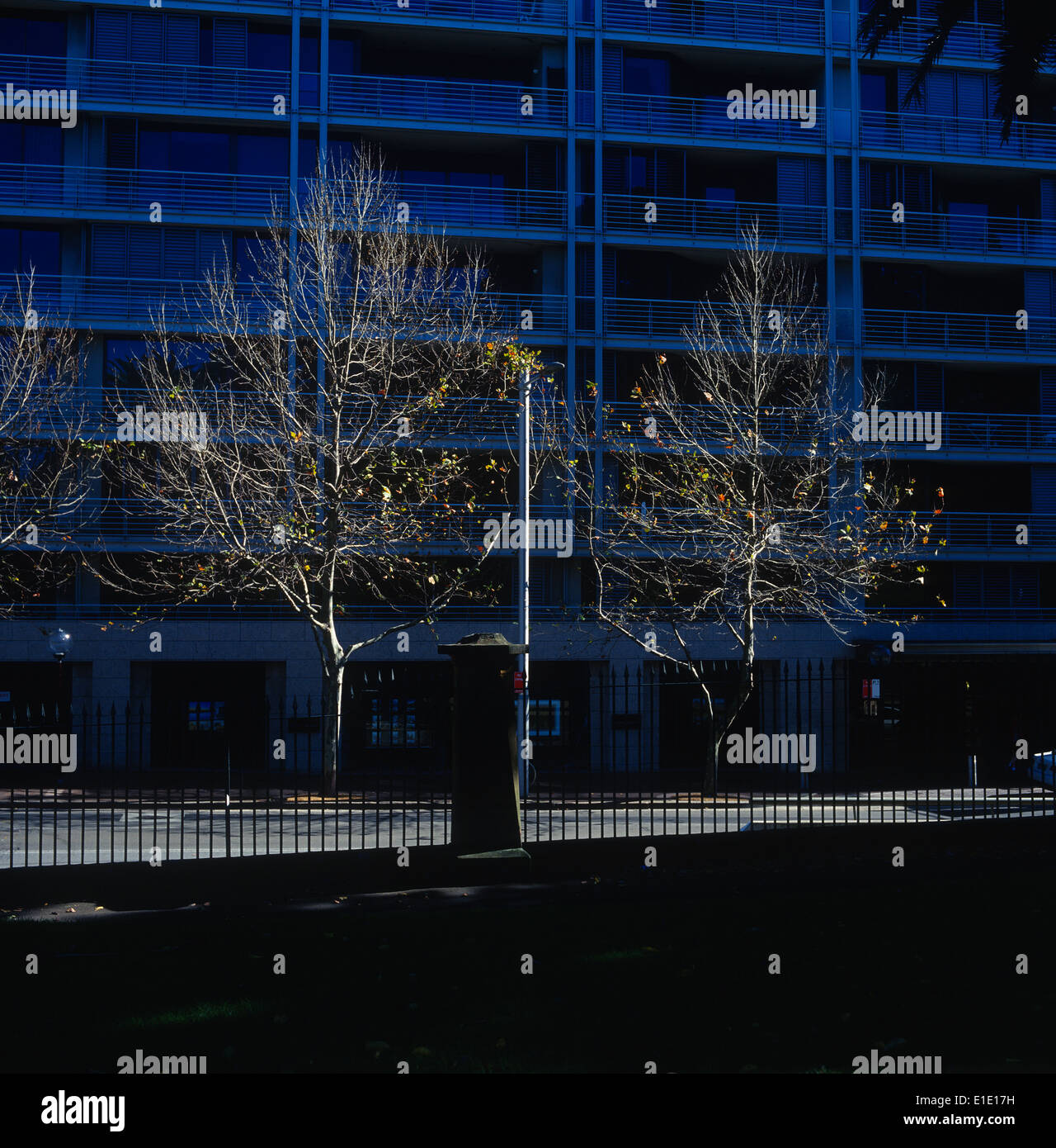 Two autumn trees hi-res stock photography and images - Alamy