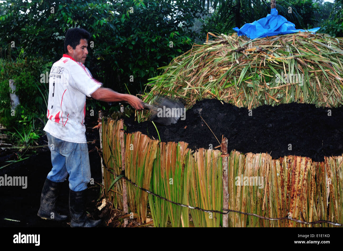 Making of charcoal by traditional method - Rainforest in Industria ...