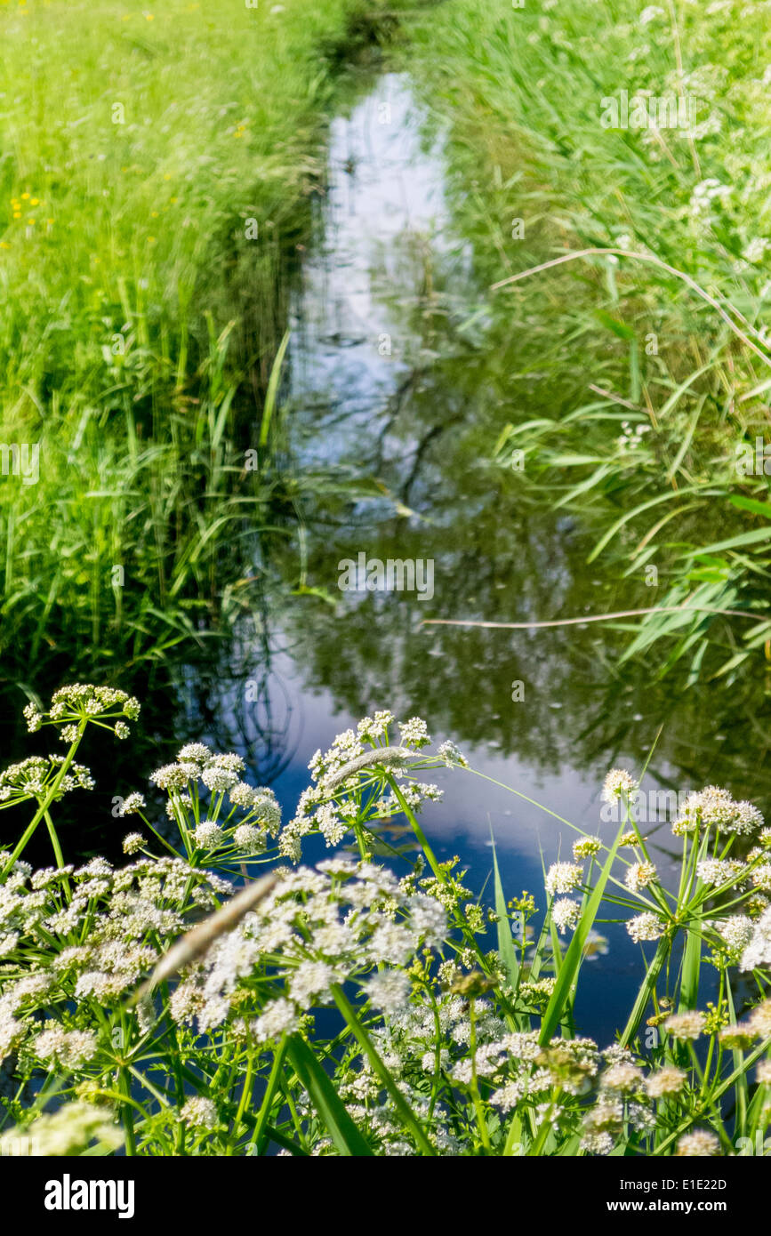Rural drainage hi-res stock photography and images - Alamy
