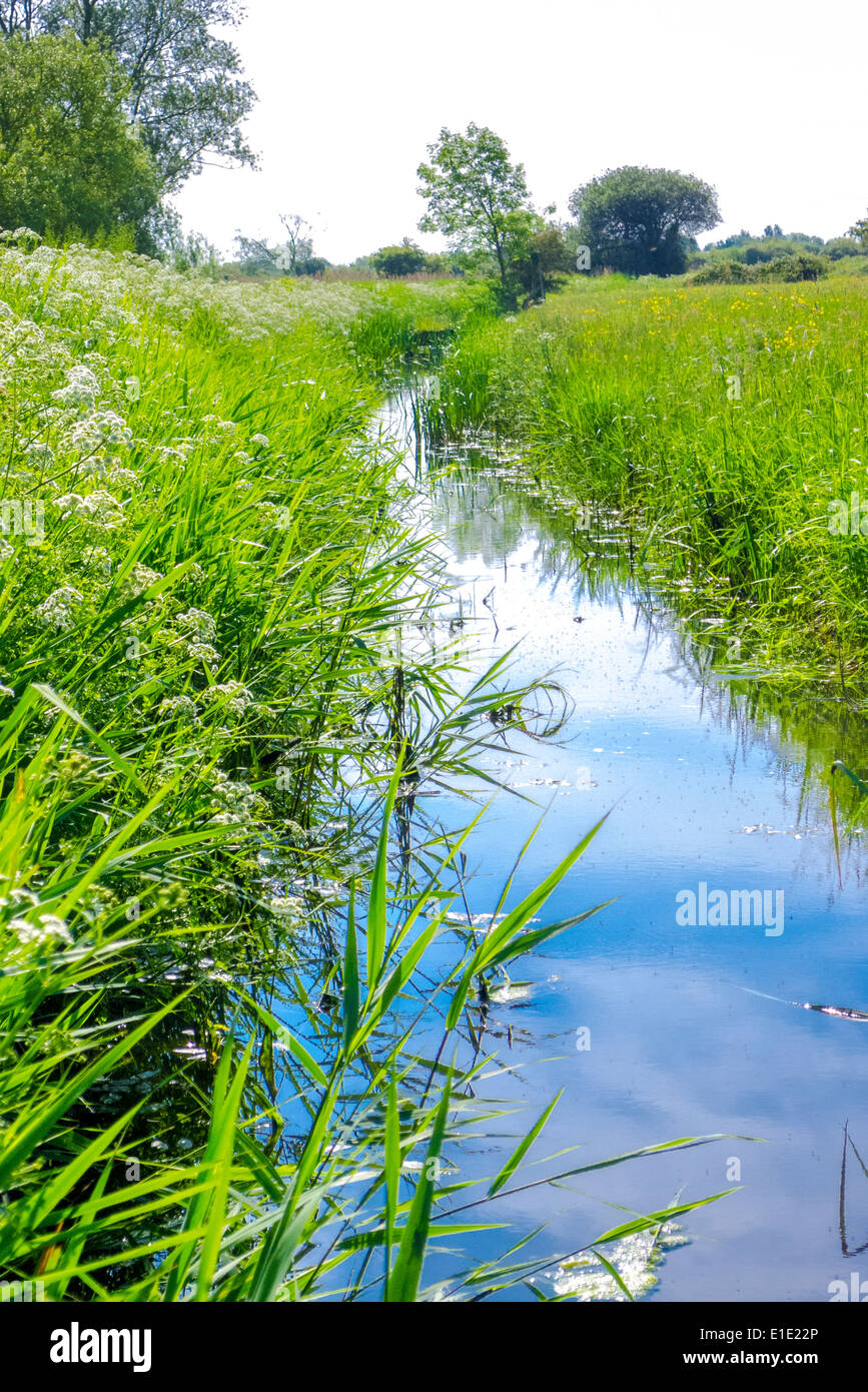 Flood ditch hi-res stock photography and images - Alamy