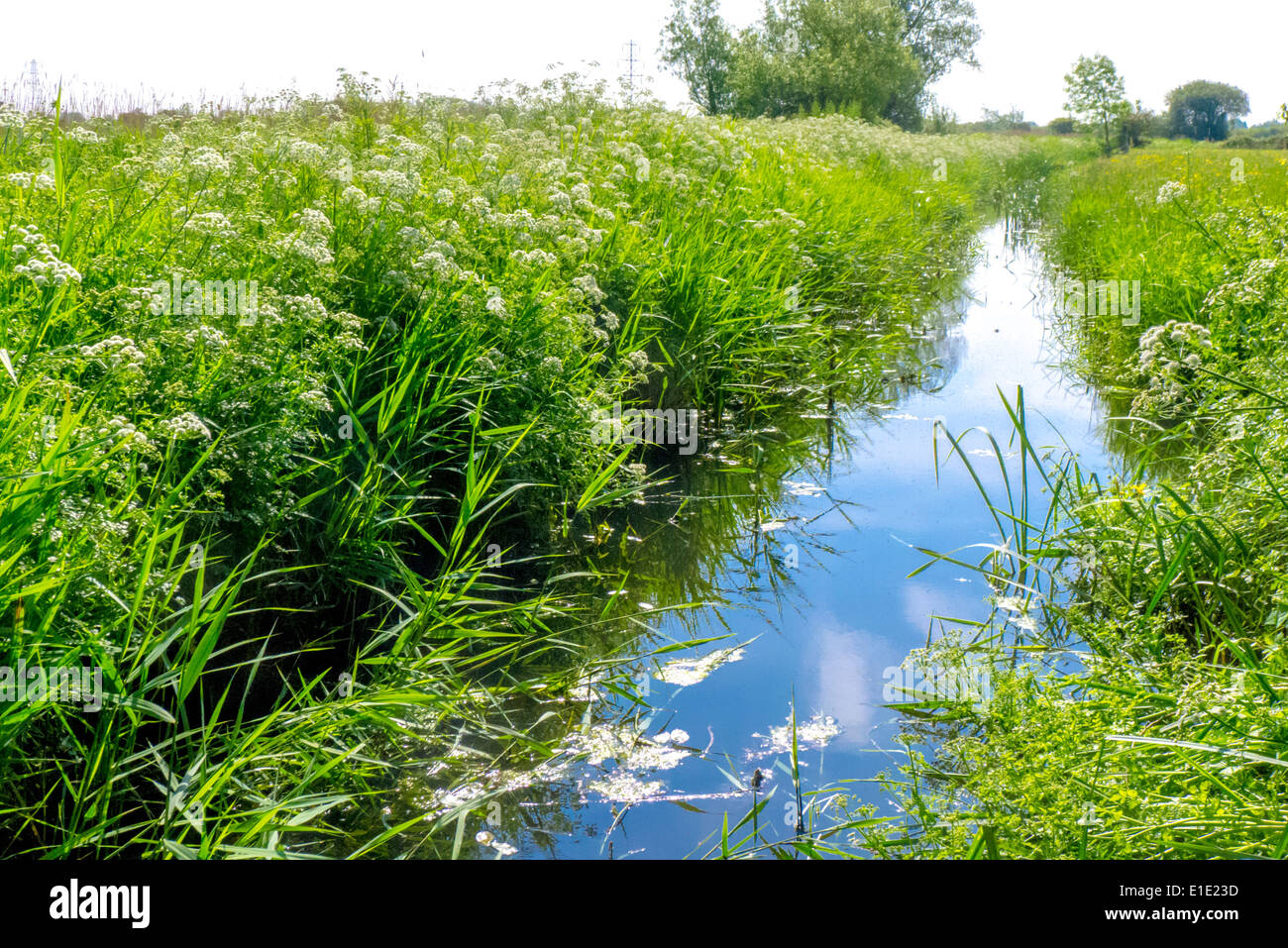Rural drainage hi-res stock photography and images - Alamy