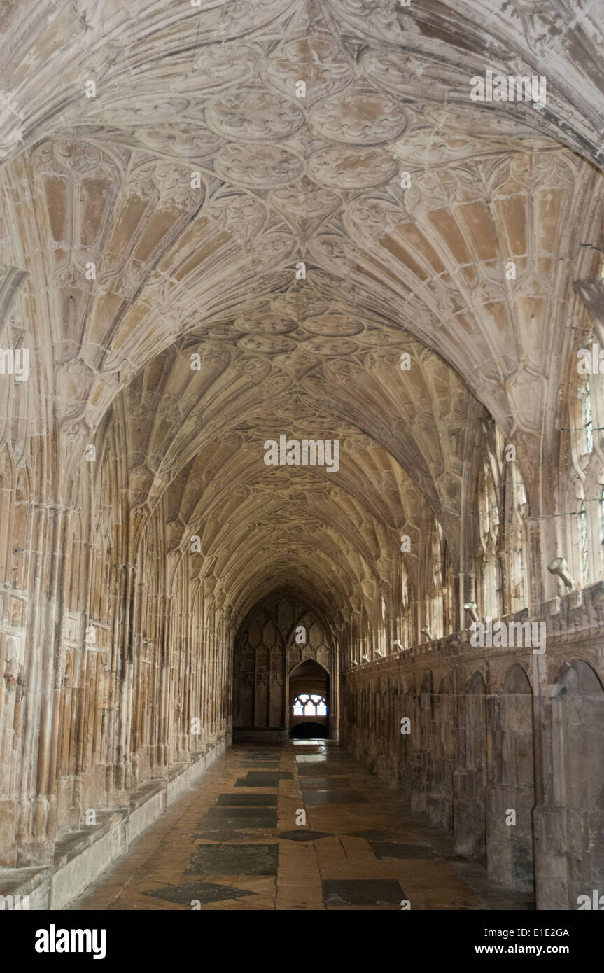 Cloisters of Gloucester Cathedral, founded as an Abbey in Saxon times ...