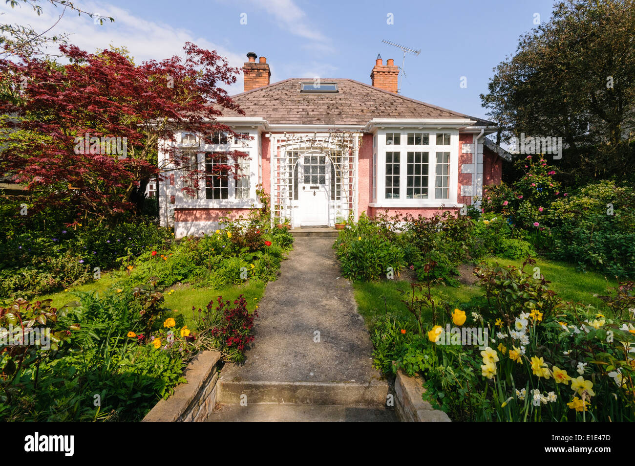 Irish cottage garden hi-res stock photography and images - Alamy