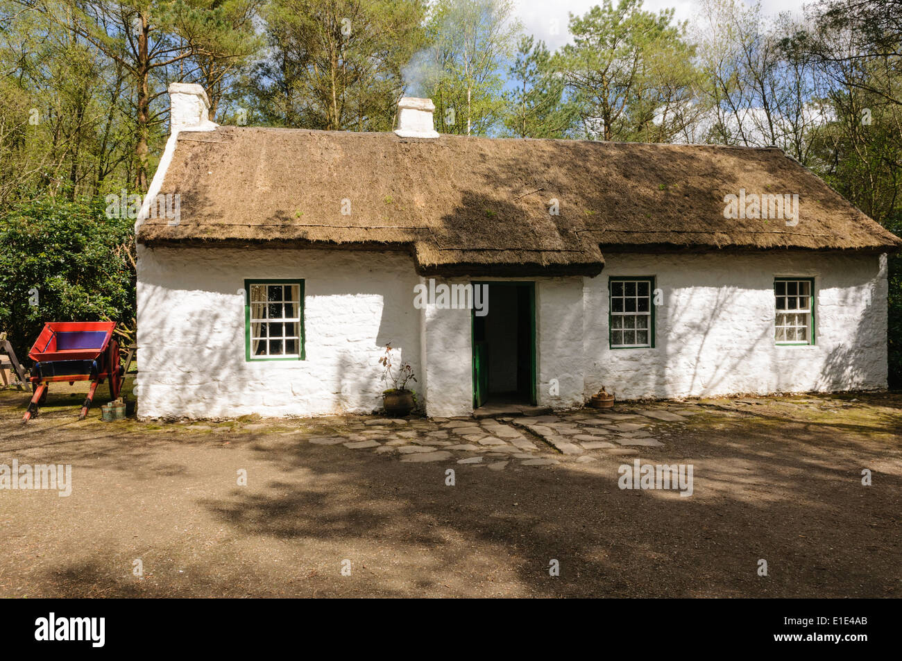 A traditional Irish rural farmhouse with thatched roof and whitewashed ...