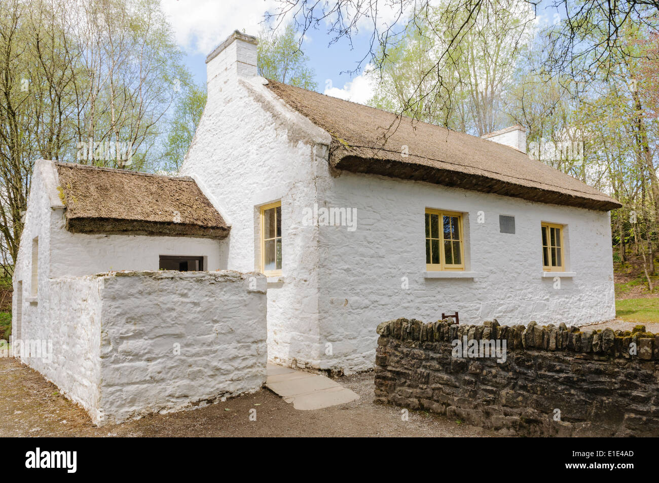 A traditional Irish rural farmhouse with thatched roof and whitewashed ...