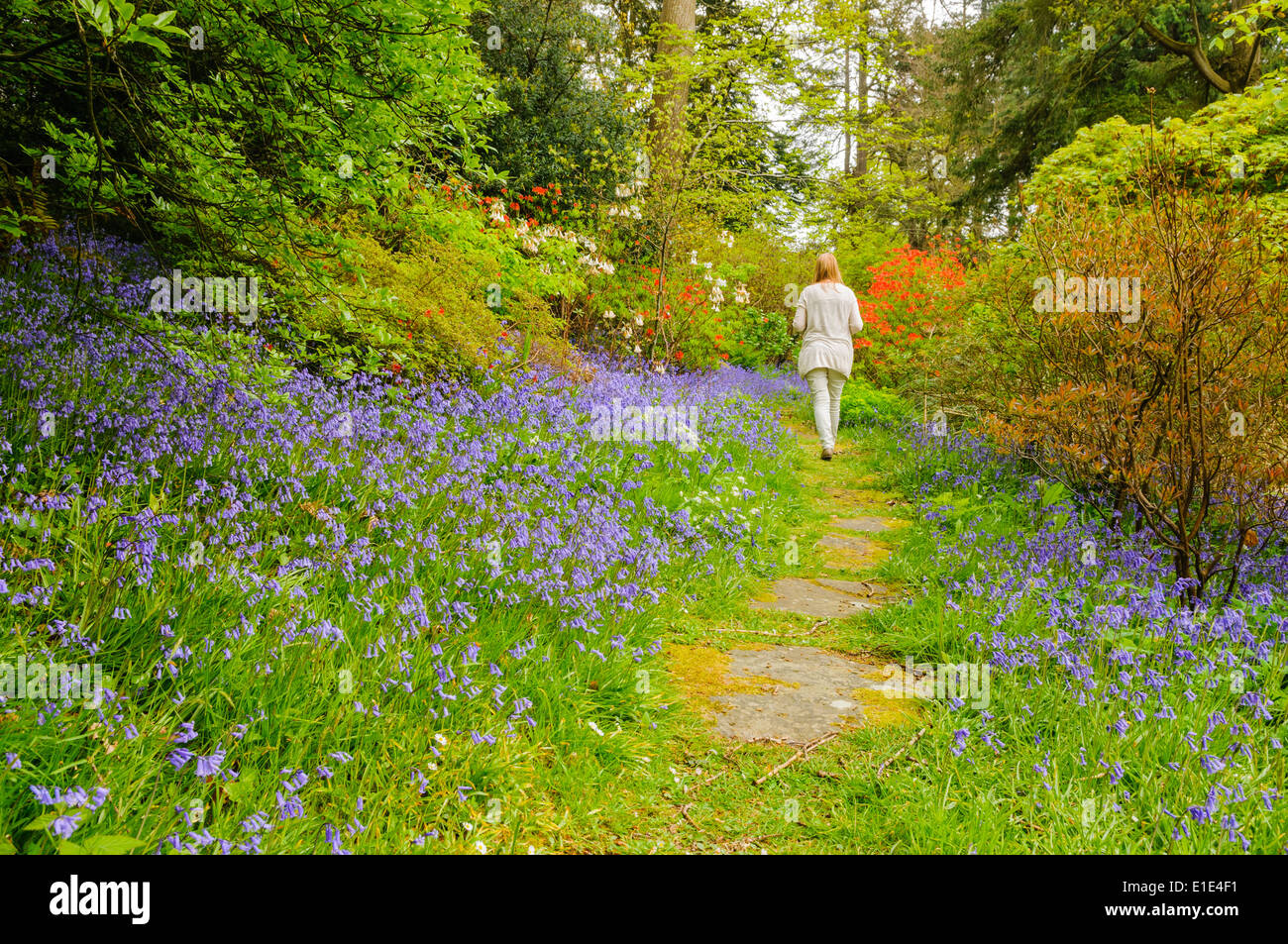Woman walking along garden path hi-res stock photography and images - Alamy