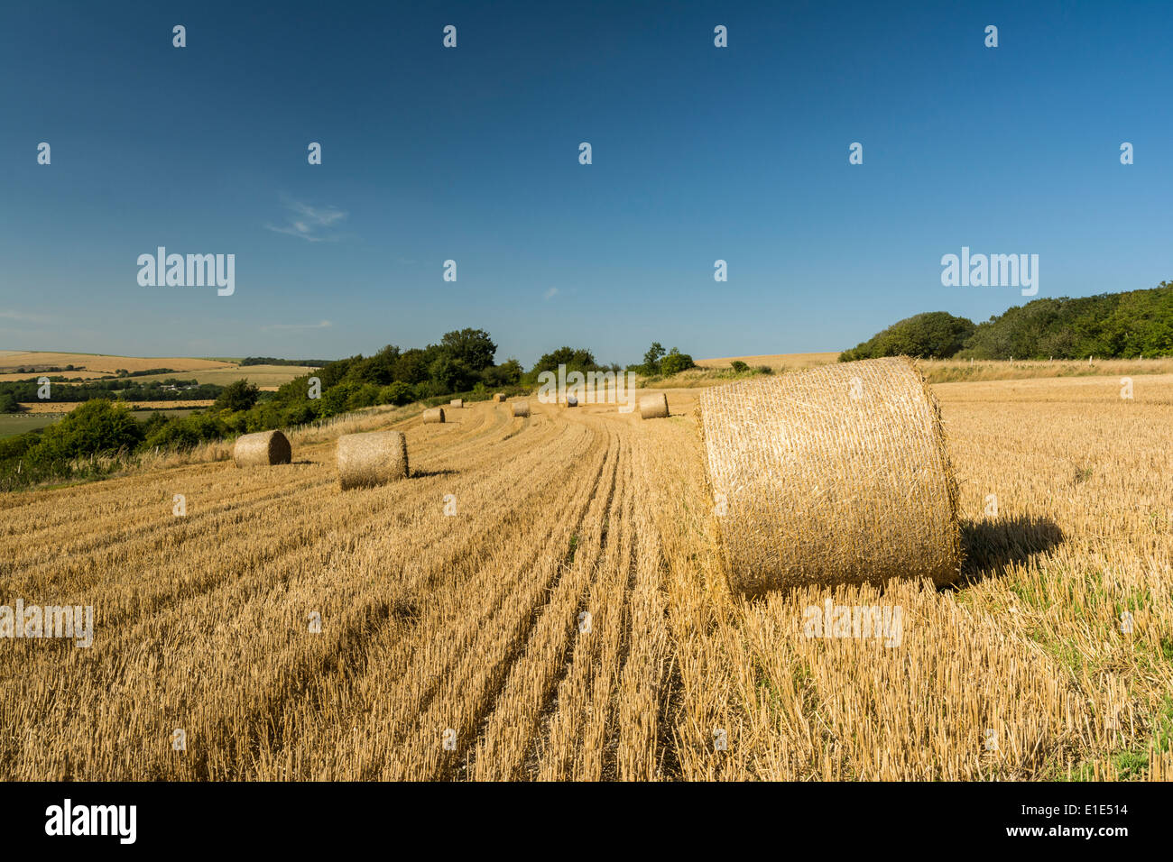A view north from Church Hill near to the village of Findon in the ...