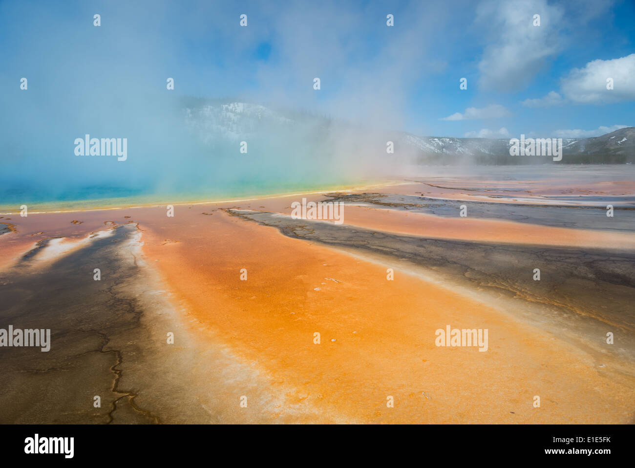 Colorful bacteria grow in the overflow from hot spring. Yellowstone ...