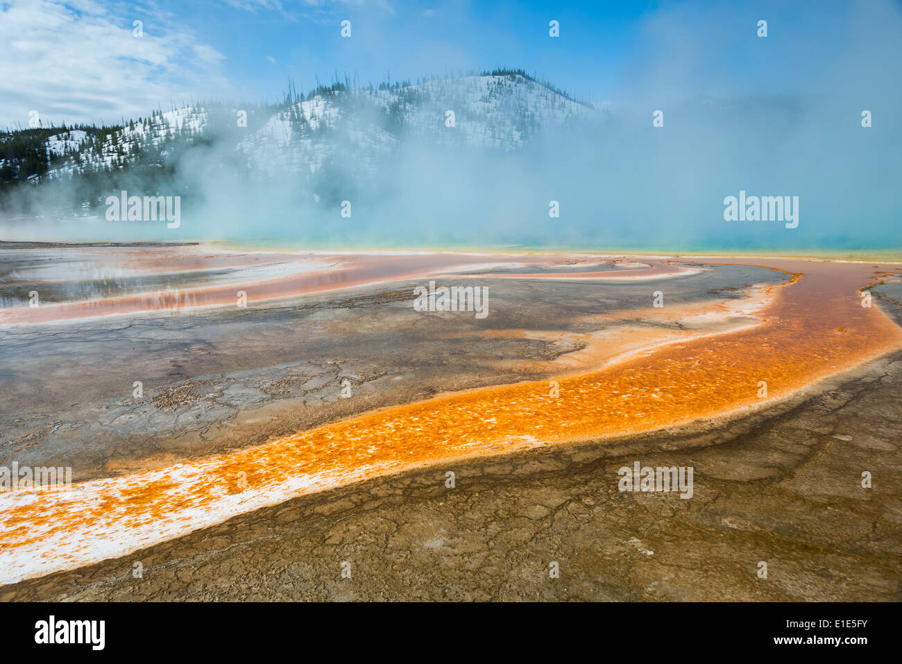 Colorful bacteria grow in the overflow from hot spring. Yellowstone ...