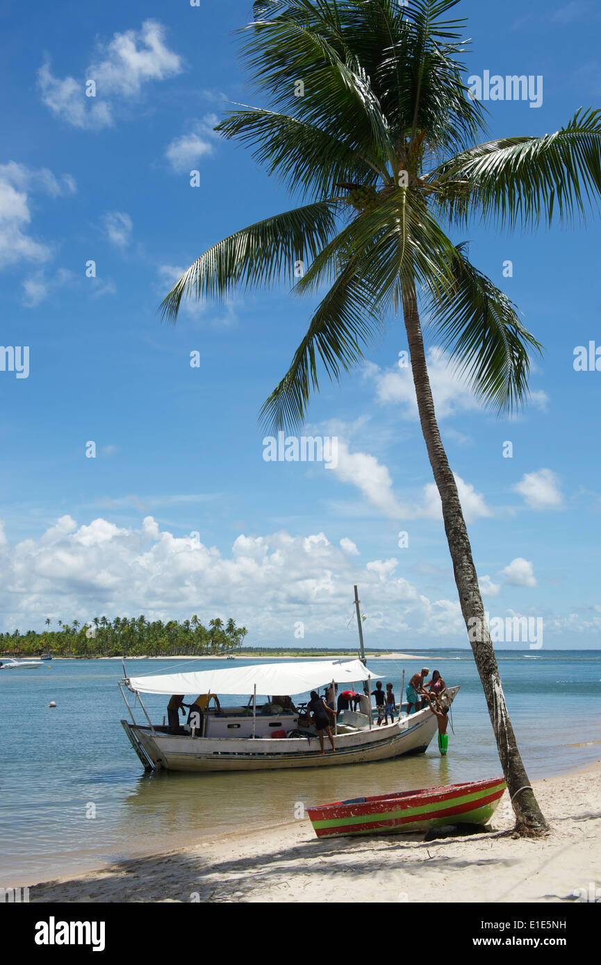 Brazilian boat getting ready to launch under a single palm tree on a ...