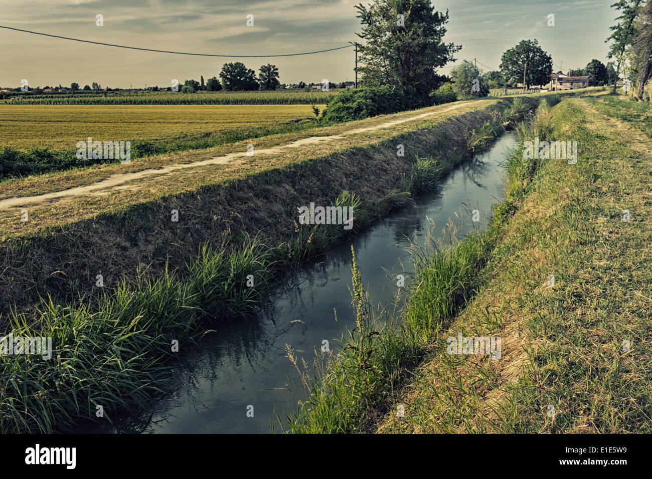 Walking among trees and plants along a water channel in Italian ...