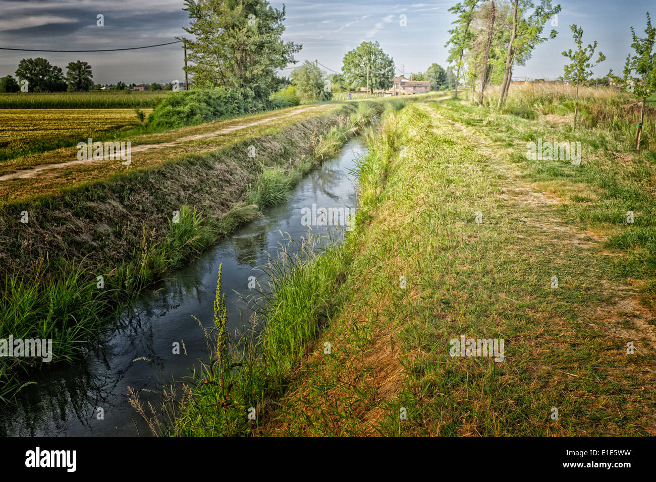 Walking among trees and plants along a water channel in Italian ...