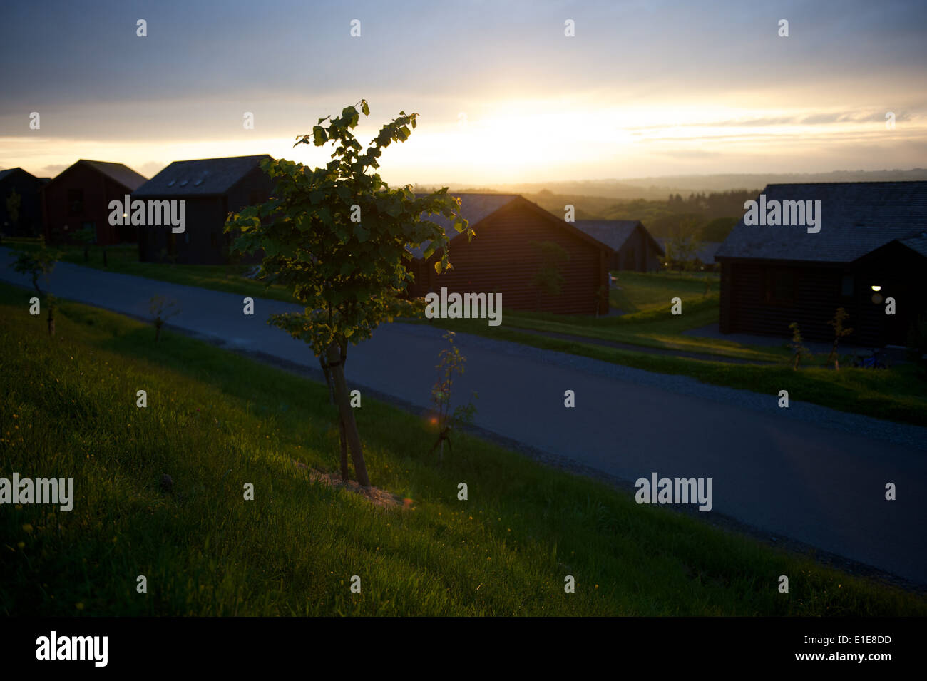 Holiday lodges at bluestone holiday village at sunset Stock Photo - Alamy