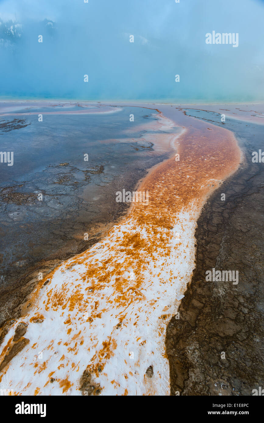 Colorful bacteria grow in the overflow from hot spring. Yellowstone ...