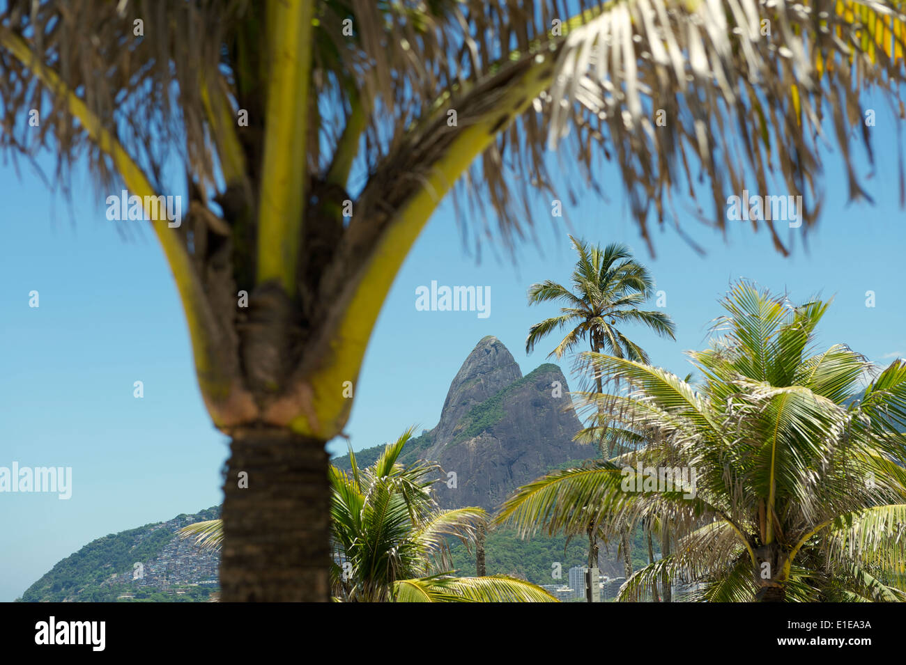 Ipanema Beach Rio de Janeiro Brazil view with palm trees at Two ...