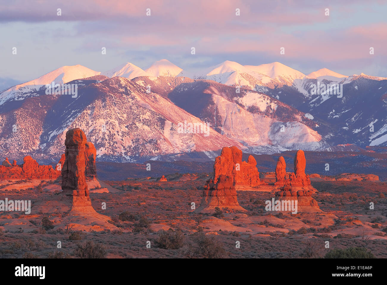 Petrified sand dunes with the La Sal Mountains in the background in ...