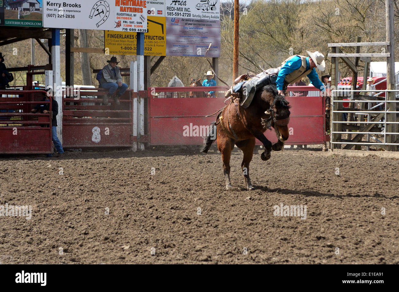 Rider thrown off hi-res stock photography and images - Alamy