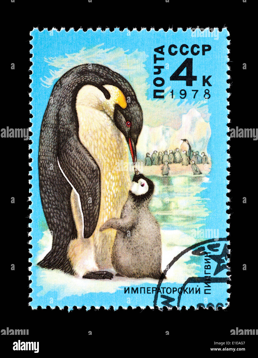 Postage stamp from the Soviet Union depicting an Emperor penguin and ...