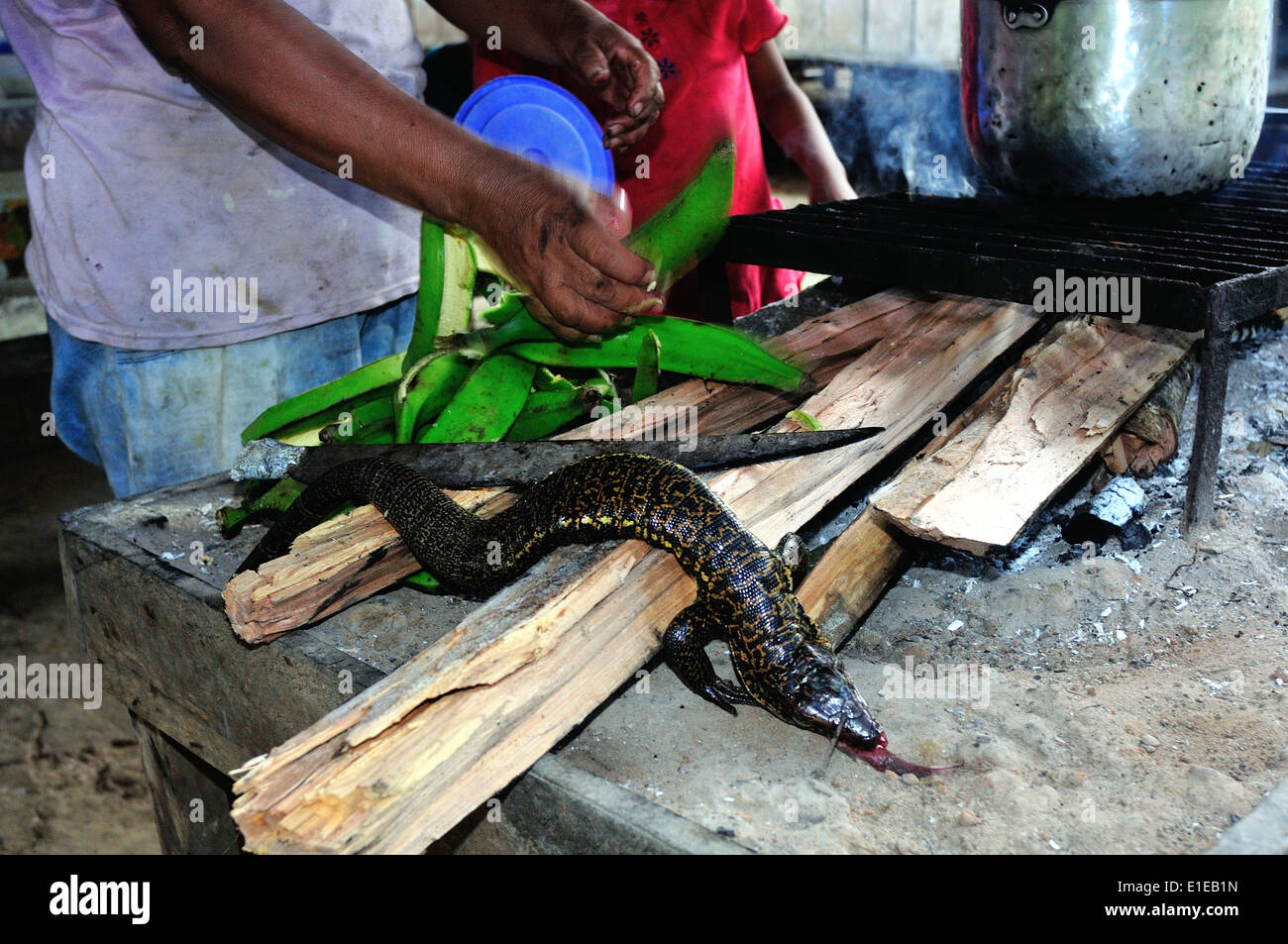 Lizard cooking - Traditional kitchen in Industria - PANGUANA ...