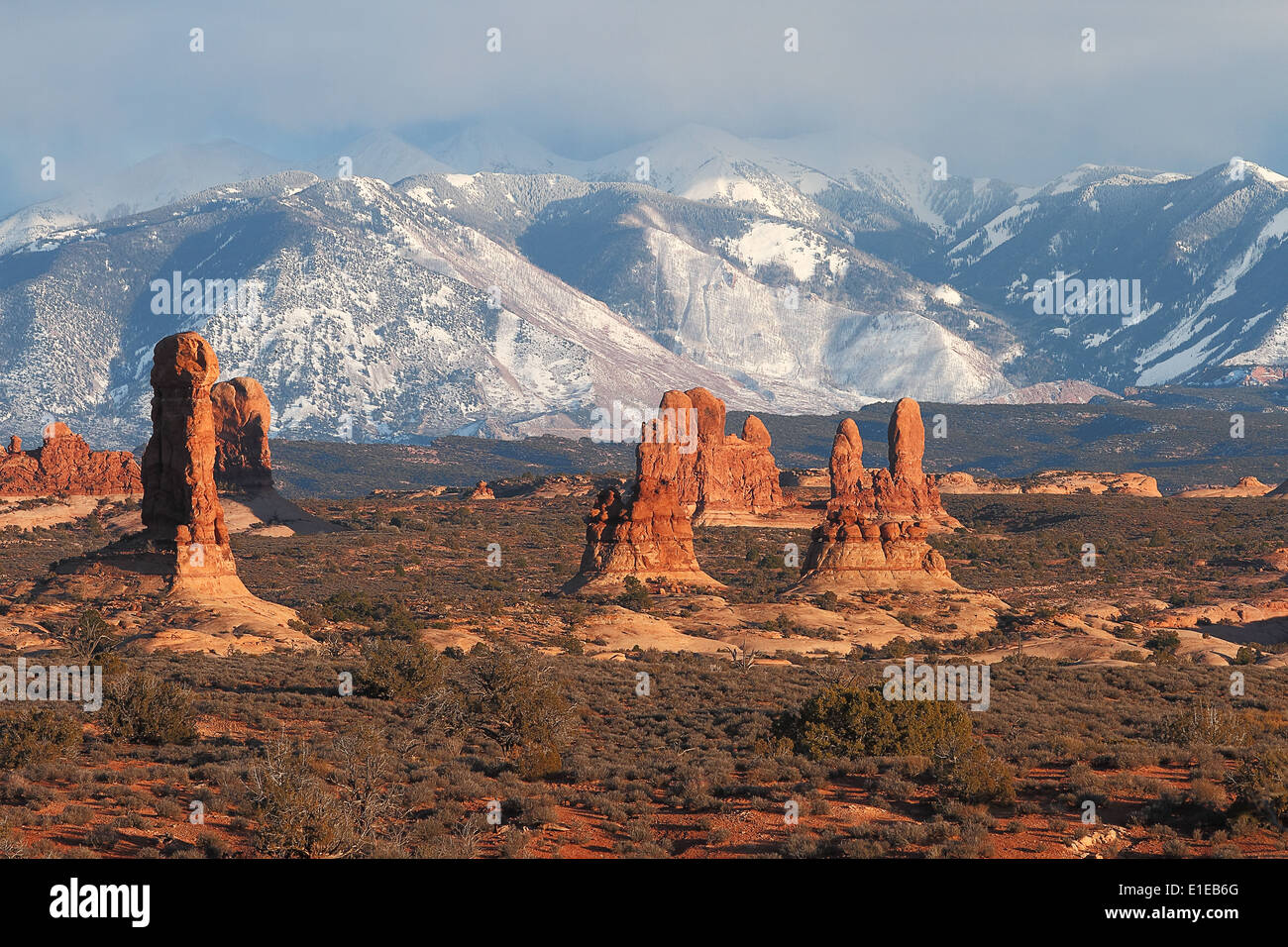 Petrified sand dunes with the La Sal Mountains in the background in ...