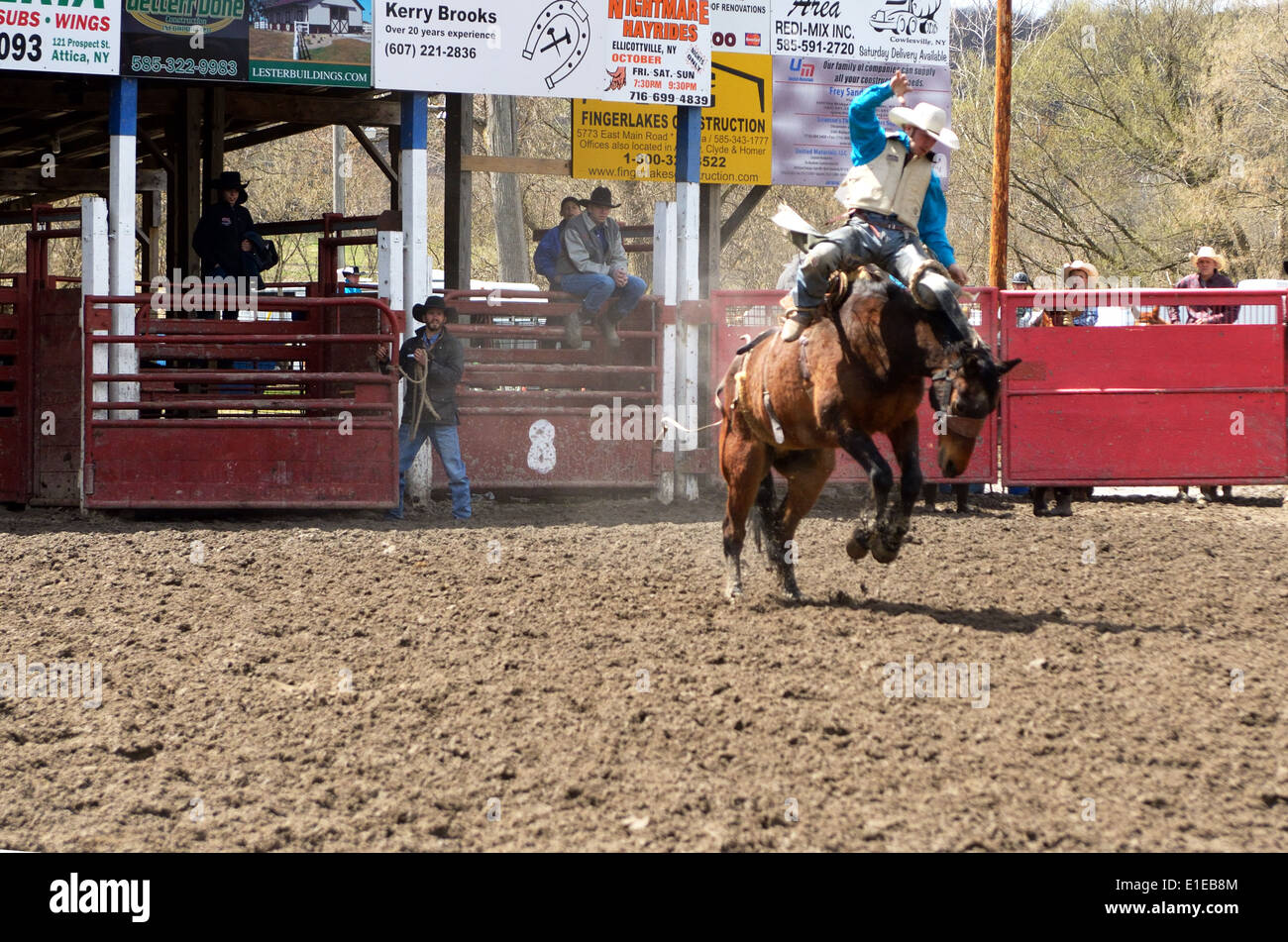 Male rodeo on horse hi-res stock photography and images - Alamy