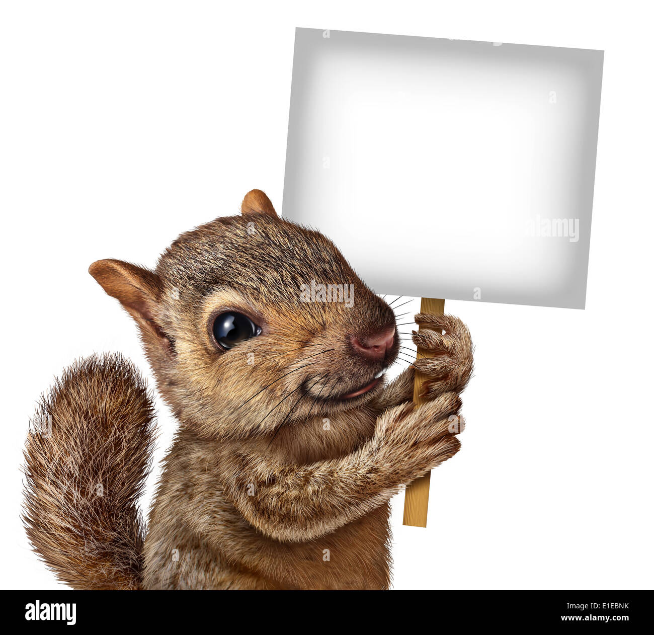 Squirrel holding a sign with realistic fur and paws as a friendly cute ...
