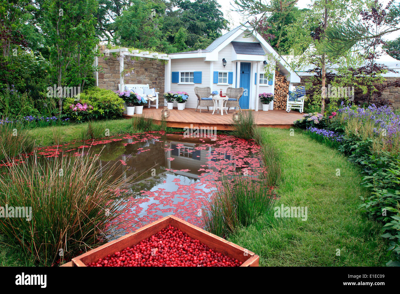 Alan bloom hi-res stock photography and images - Alamy