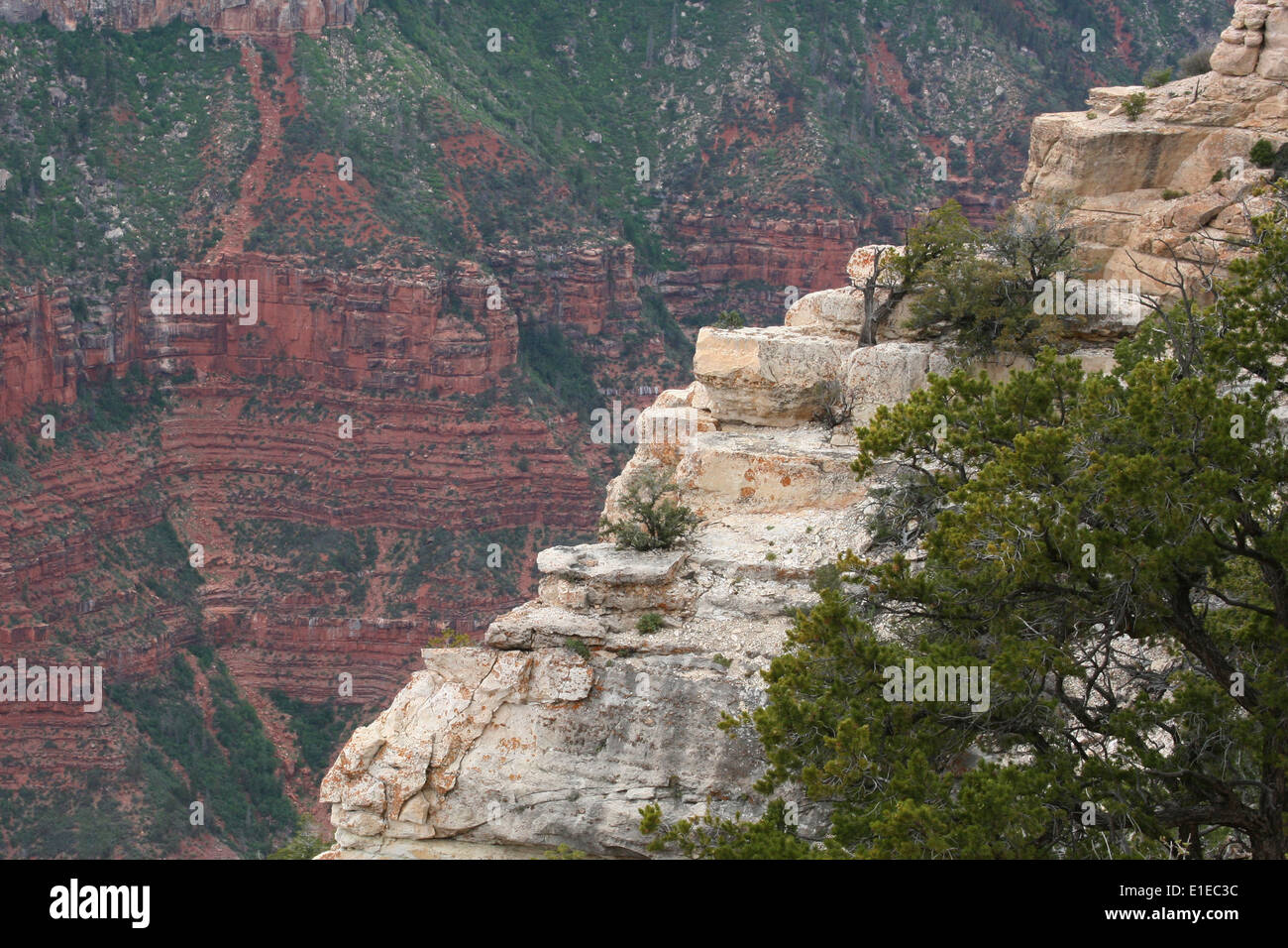 Grand Canyon Arizona USA horizontal scenery Stock Photo - Alamy