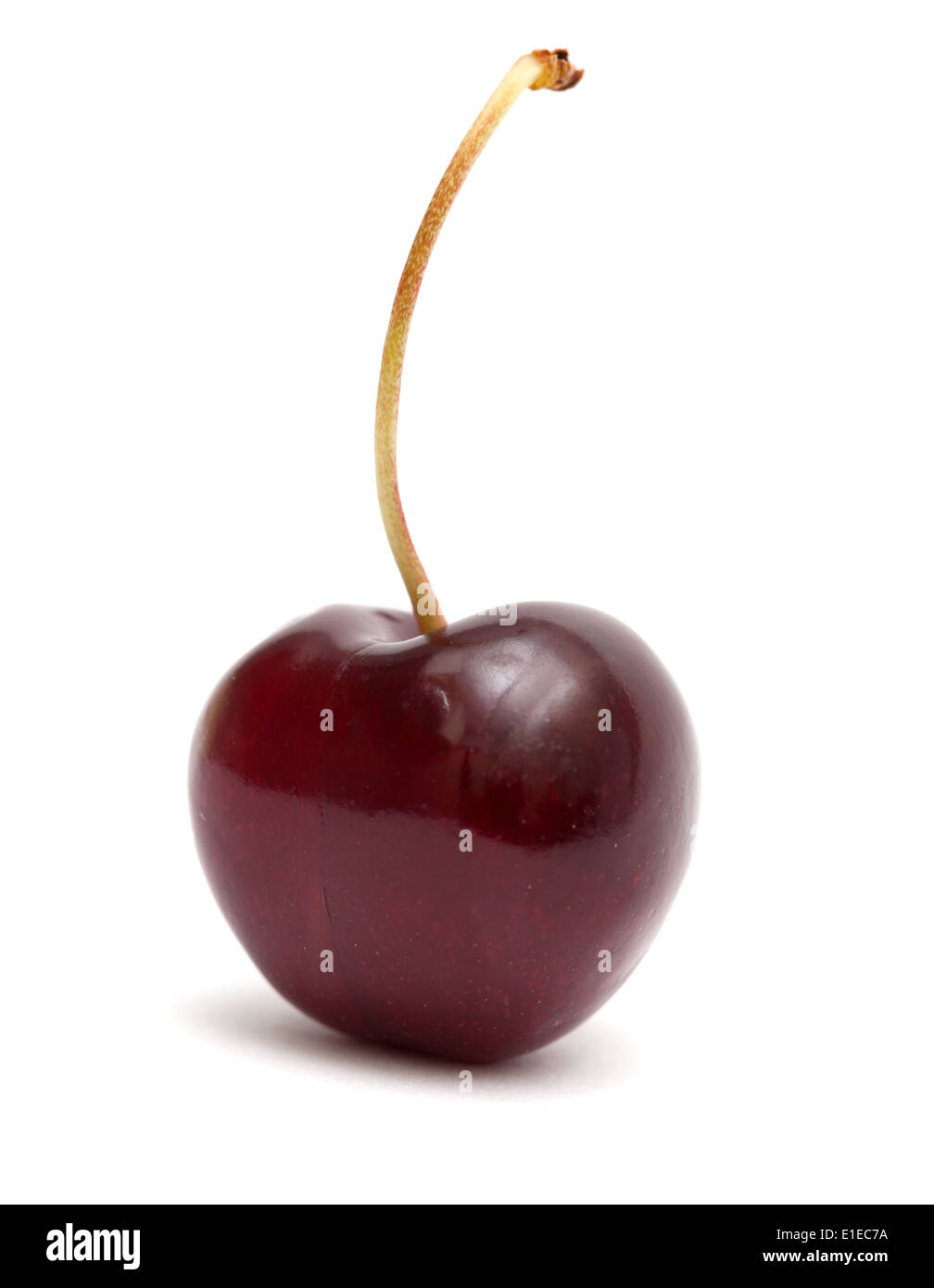 Cherry tail hi-res stock photography and images - Alamy