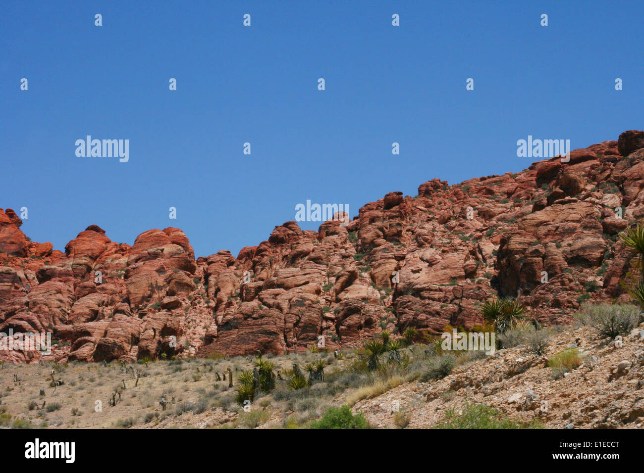 Red Rock Canyon Las Vegas Nevada NV Stock Photo - Alamy