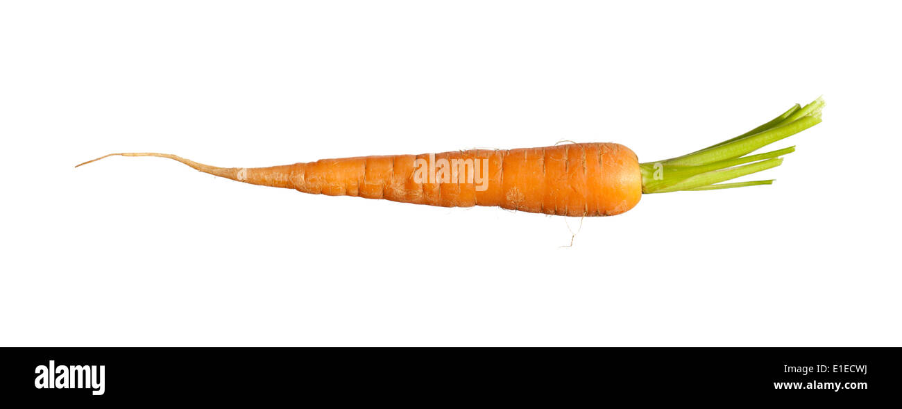 single carrot isolated on white Stock Photo - Alamy