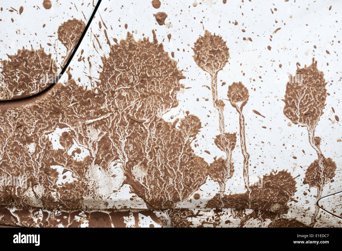 Mud splashed hi-res stock photography and images - Alamy