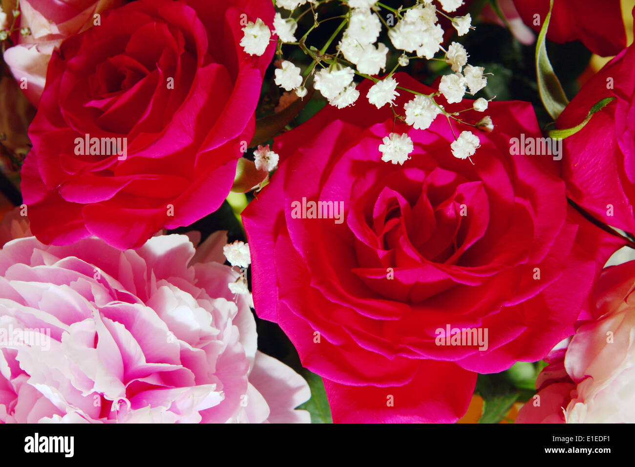 Floral flowers roses peonies hi-res stock photography and images - Alamy