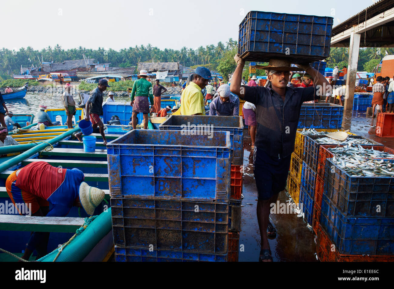 India, Kerala state, Calicut or kozhikode, fishing harbour Stock Photo ...