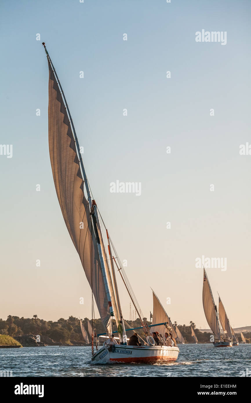 Faluka sailboats sailing on river Nile, Aswan, Egypt Stock Photo - Alamy