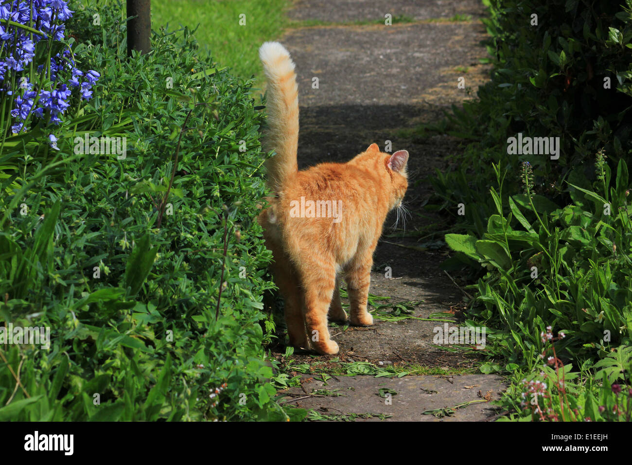 Sprayin hi-res stock photography and images - Alamy