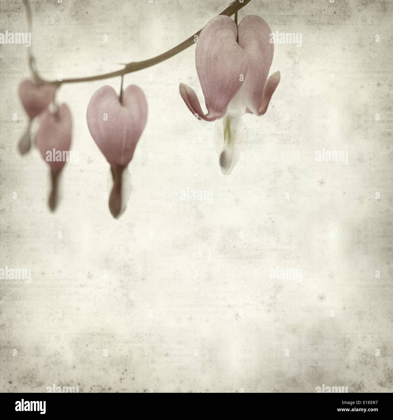 Lyre look hi-res stock photography and images - Alamy