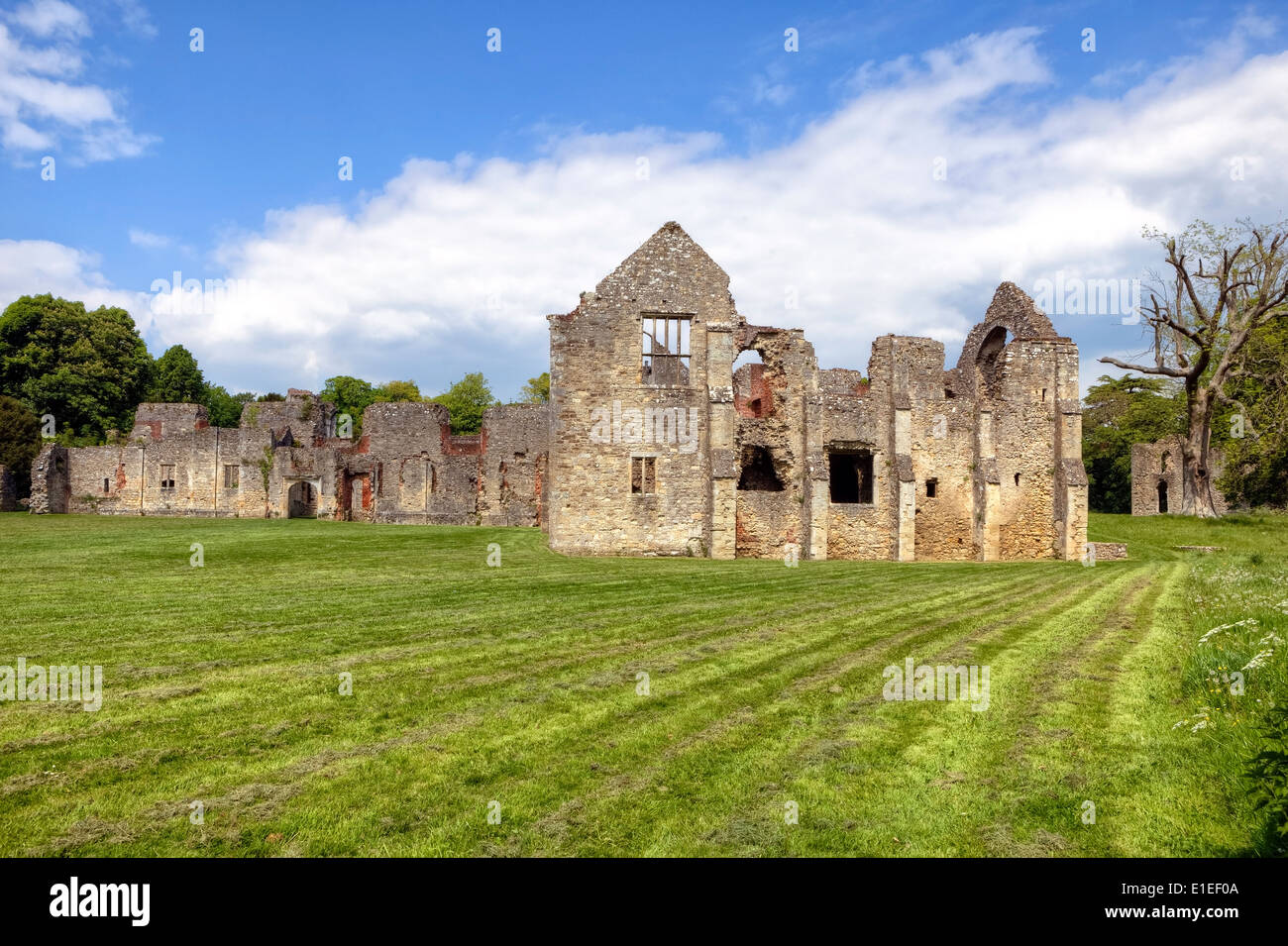 Netley Abbey, Southampton, England, United Kingdom Stock Photo - Alamy