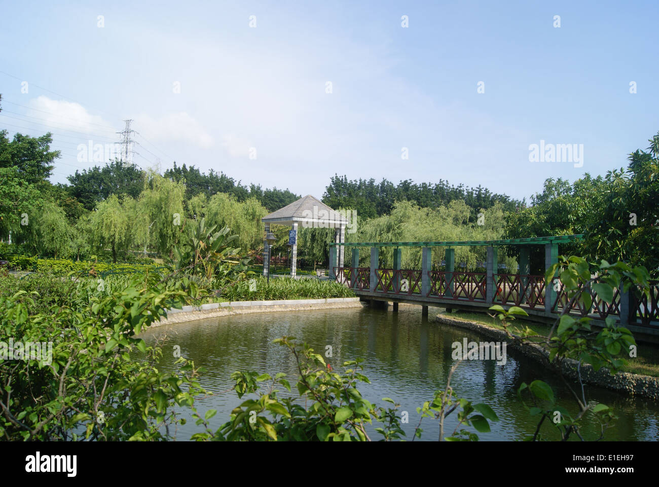 Lakeside landscape, willow and lake water Stock Photo - Alamy