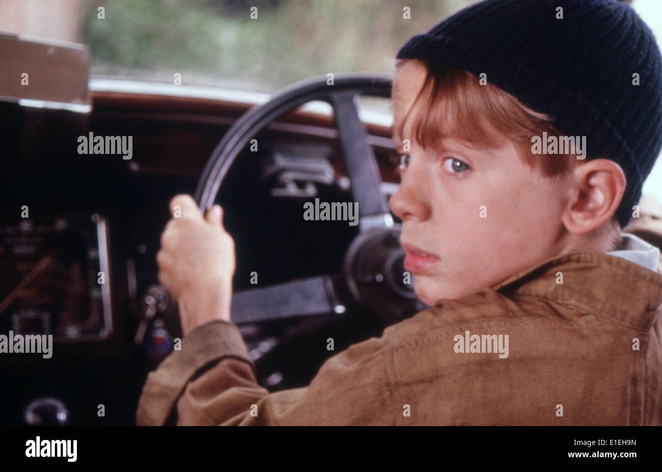 DANNY THE CHAMPION OF THE WORLD (1989) ROALD DAHL'S DANNY THE CHAMPION ...