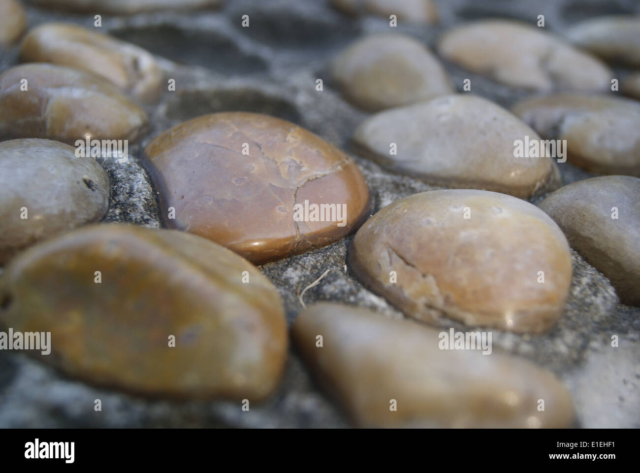 A close-up of cobblestone ground Stock Photo - Alamy