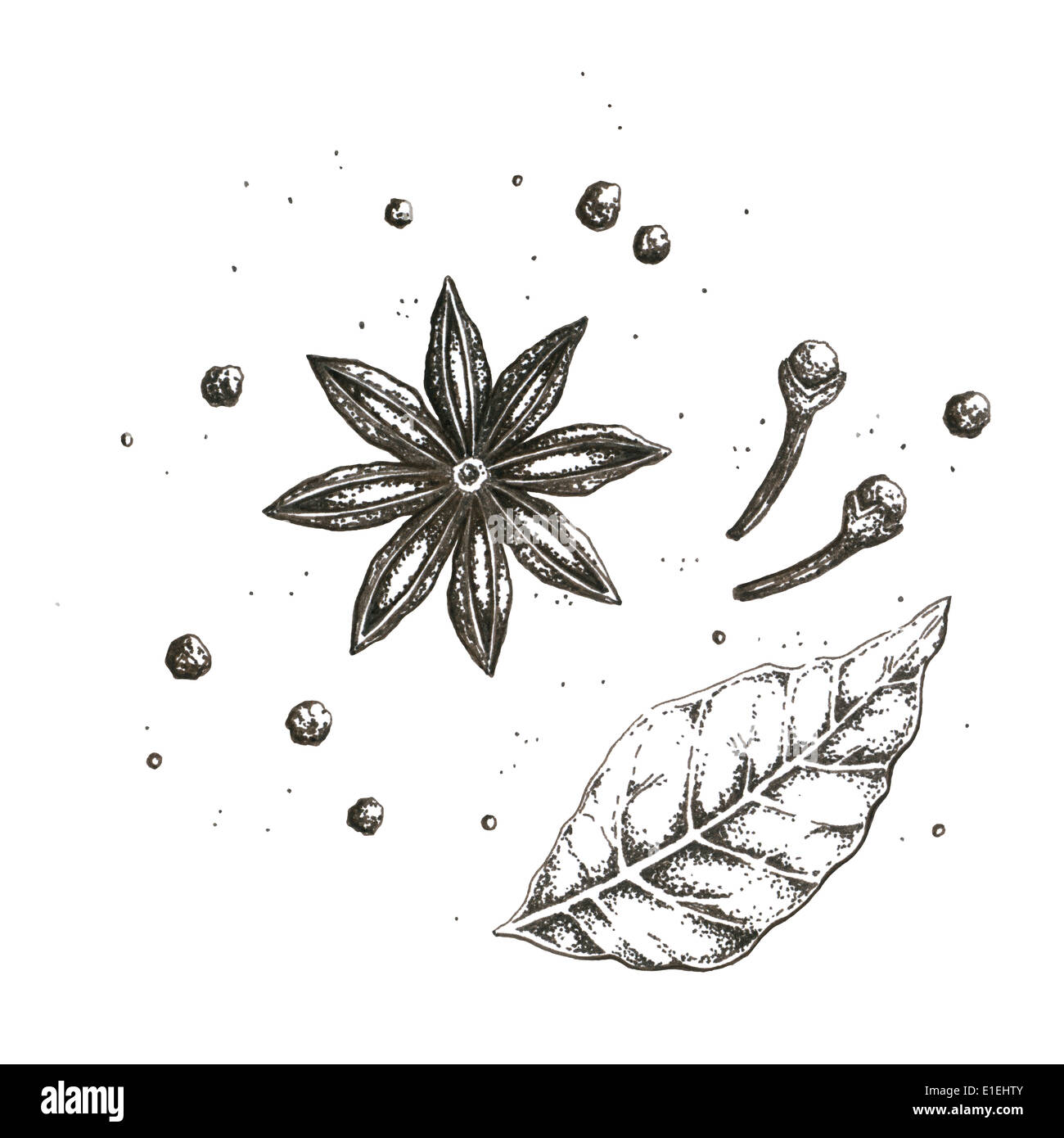 Spices. Ink drawing on white background Stock Photo - Alamy