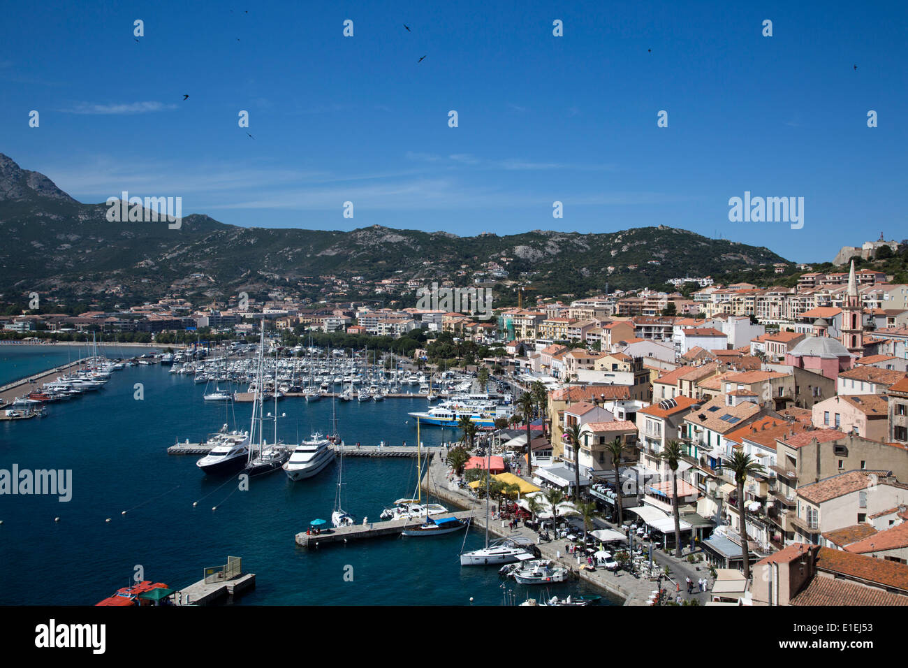 Yachts in the harbour in the port of Calvi, Corsica Stock Photo - Alamy