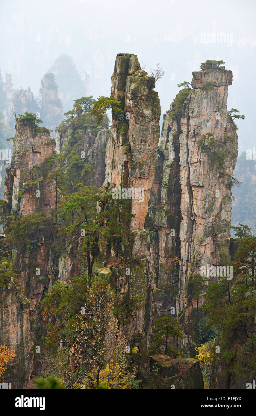 China, Hunan Province, Zhangjiajie, Wulingyuan Scenic Area, Zhangjiajie ...