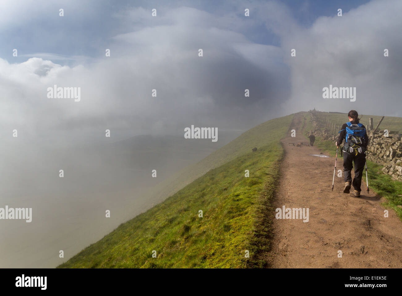 Female Walker person on the misty summit ridge of Whernside, one of the ...