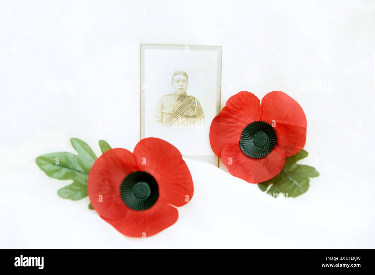 A black & white faded photograph of a soldier from WW1 with the poppy ...
