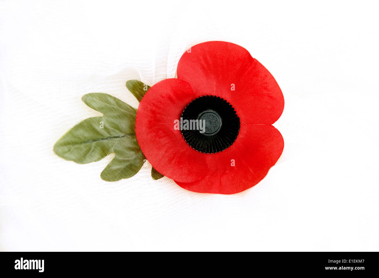 Poppy on a white background the poppy emblem for remembrance & memory ...