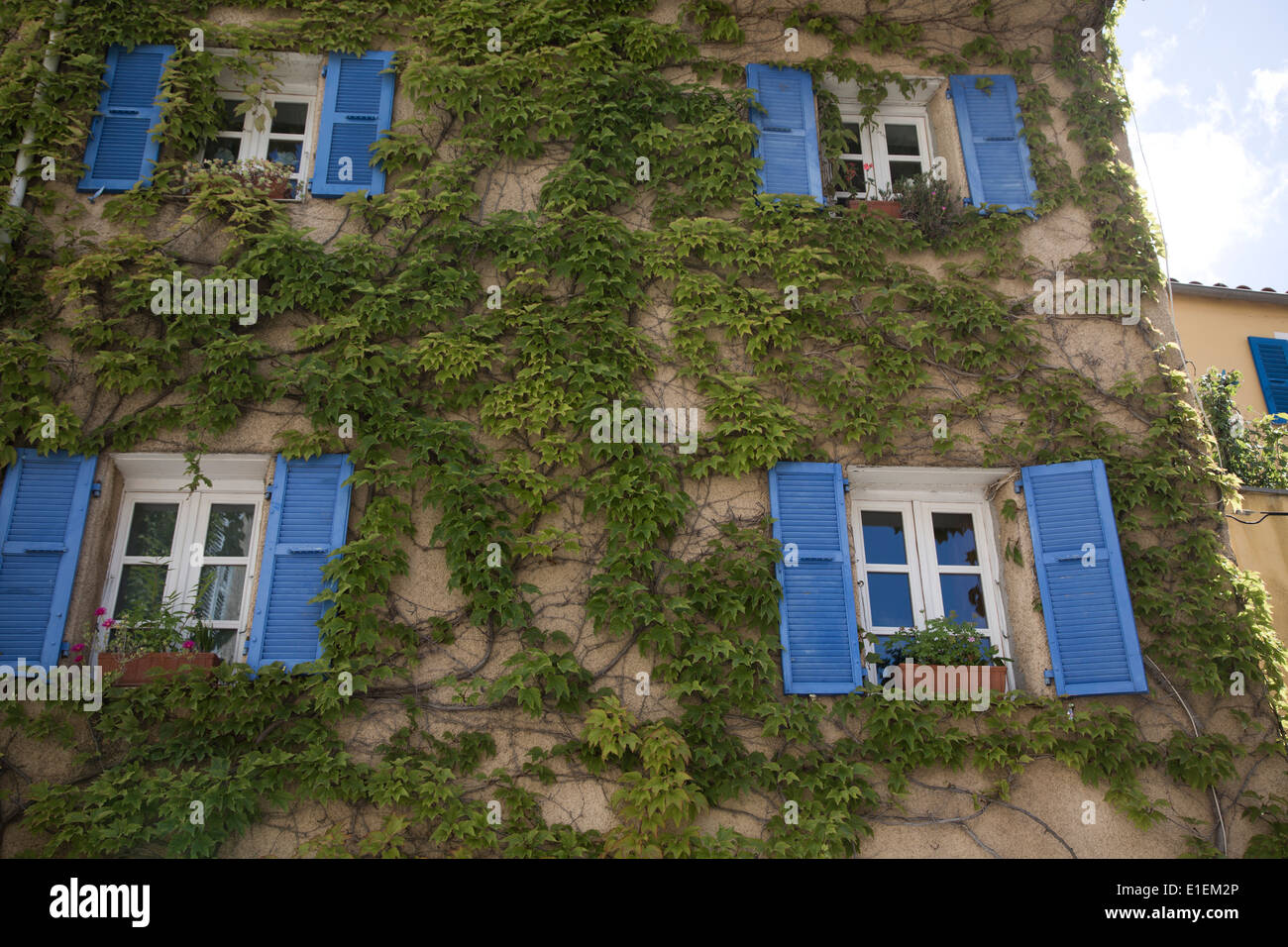Corsica france shutter windows vines hi-res stock photography and ...