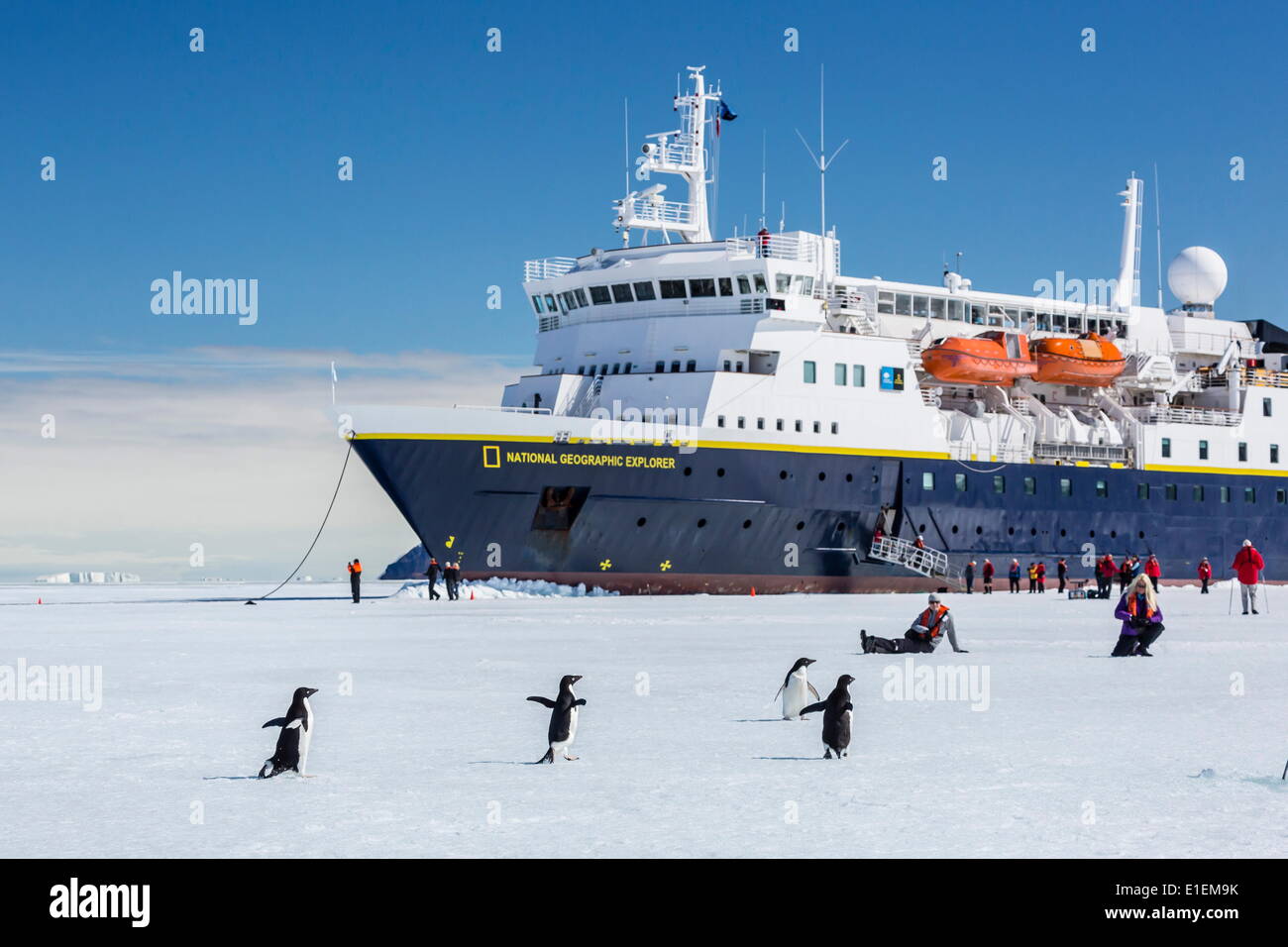 The Lindblad Expeditions ship National Geographic Explorer wedged into ...