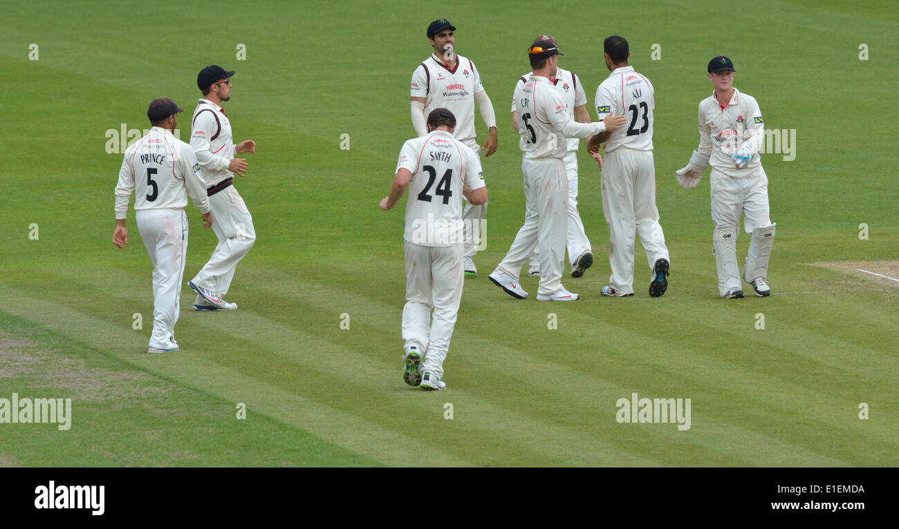 Cricket cricketers congratulations celebration hi-res stock photography ...